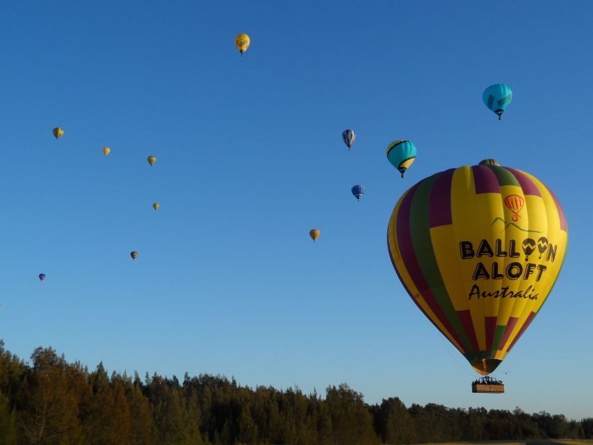 Hunter Valley: Sunrise Balloon Ride with Bubbly Breakfast - The View from Above: Why the Sunrise Matters