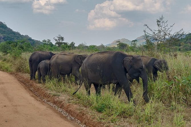 Hurulu Eco Park Safari - The Landscape and Ecosystem