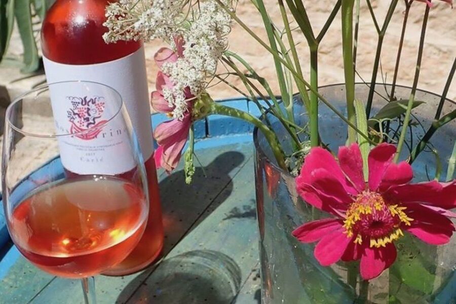 Hvar: Hvar Wine Tasting Experience - Exploring the Itinerary in Detail