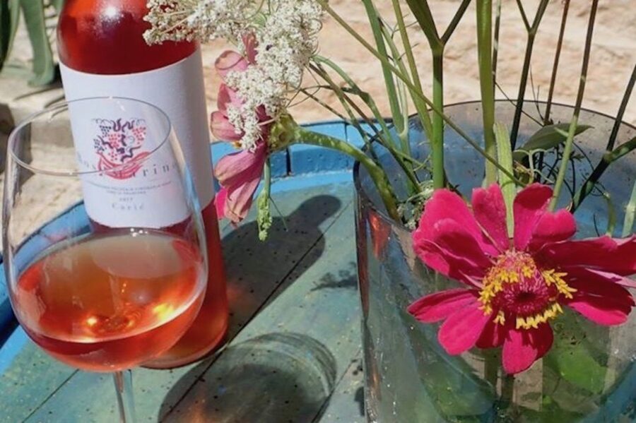 Hvar Wine Tour + Dalmatian Dinner - The Value of This Tour