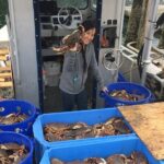 Icy Strait Village Tour and Crab Feast - Exploring the Itinerary: Step by Step