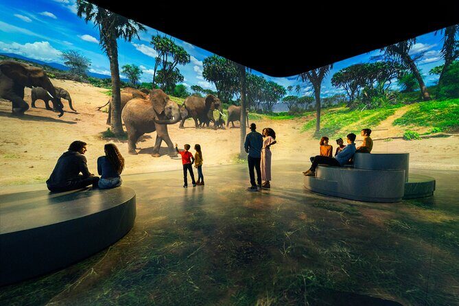 Illuminarium Las Vegas - What Are the Drawbacks?