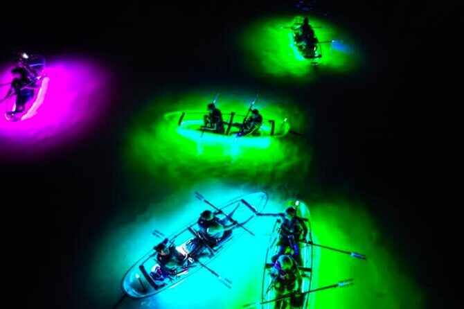 Inclusive Glass Boat Rental Peanut Island Snorkel Gear & Snacks - What to Expect During the Trip
