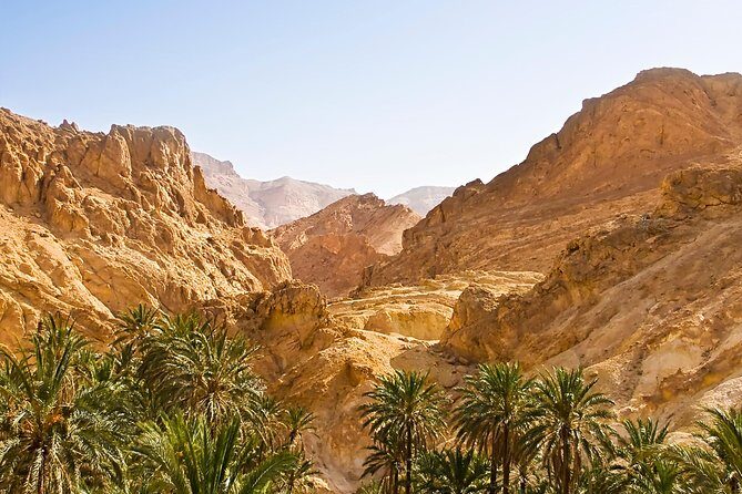 Indian Canyons Hiking Tour by Jeep from Palm Springs - The Experience and Value