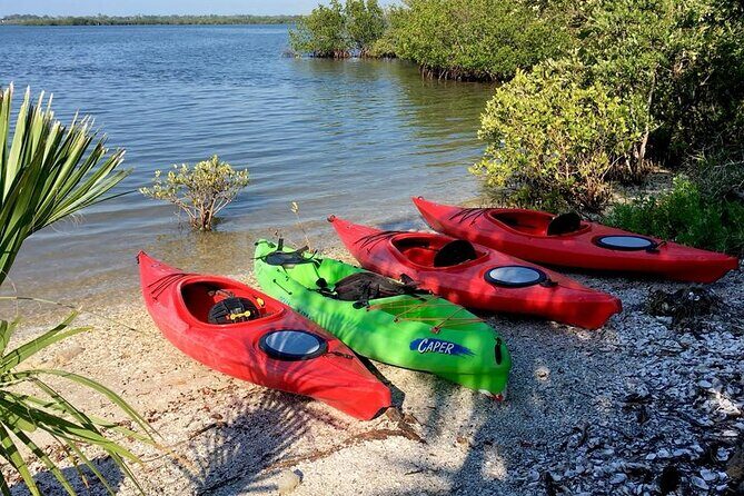 Indian River Lagoon Preserve Kayak Tour - Final Thoughts: Is This the Right Tour for You?