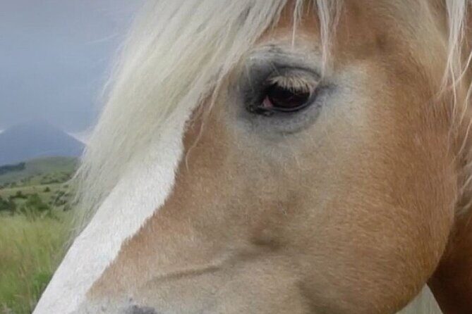 Indoor Horsemanship - The Value of a Small Group Experience