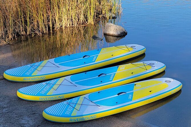 Inflatable Paddleboard Full-Day Rental - Transportation required - Why This Rental Offers Great Value