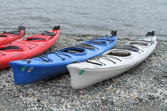 Inside Passage Sea Kayaking in Haines - Final Thoughts