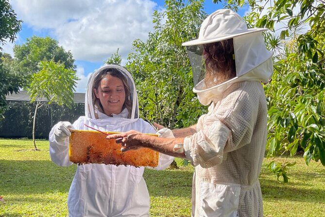 Inside the Hive: Kauai Honey and Bee Tour - The Sum Up: Is This Tour Worth It?
