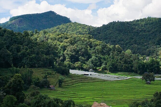 Inthanon National Park Tour with Soft Hike at Pha Dok Siew Trail - The Itinerary Breakdown: What You Can Expect