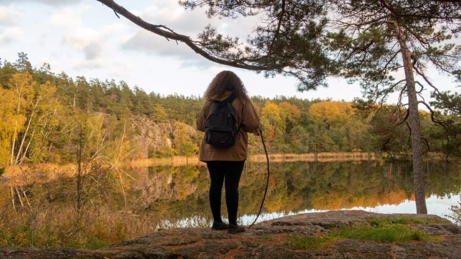 Into the wild - a sensorial experience in Stockholm's woods - Detailed Breakdown of the Itinerary