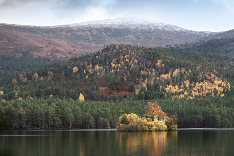 Inverness: Fort George, Culloden, and Cairngorms Day Trip - Transportation and Group Experience