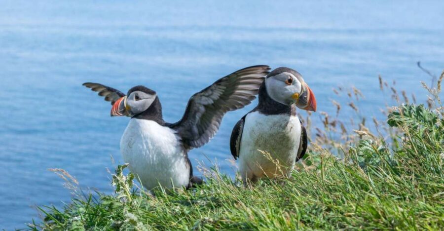 Inverness: Moray Coast, Wildlife and Speyside Whisky Tour - How Does the Price Reflect the Experience?