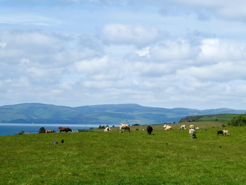 Isle of Arran: Exclusive Private Farm Tour with the Farmer - What Makes This Farm Tour Special?