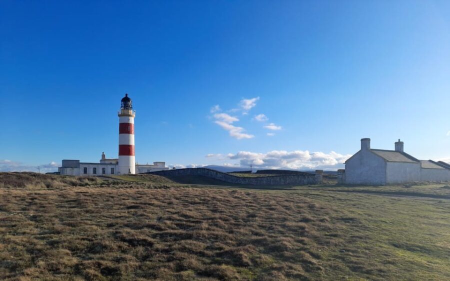 Isle of Man: Half Day Wildlife Adventure Tour - Exploring the Highlights: What Makes This Tour Stand Out