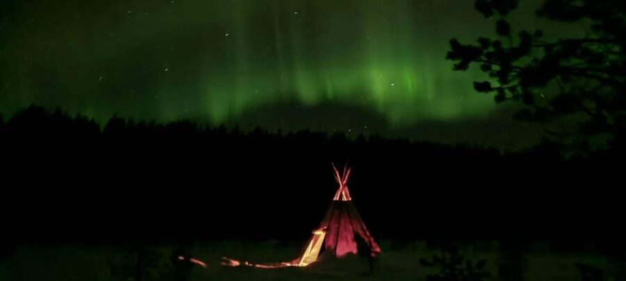 Ivalo: Northern Lights and Reindeer Farm Experience - Meeting the Reindeer – Close Encounters in a Fenced Field