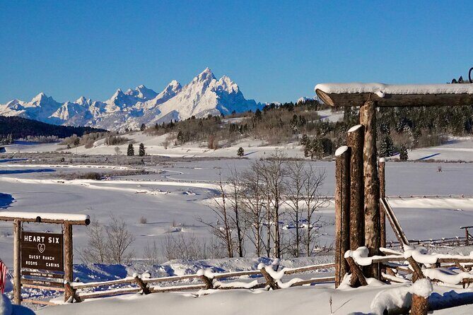 Jackson Hole Full-Day Dog Sledding and Snowmobiling Combo Trip - What Sets This Tour Apart