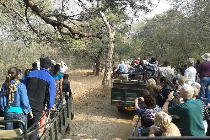 Jaipur to Ranthambore National Park Private One Day Trip - Exploring Beyond the Safari