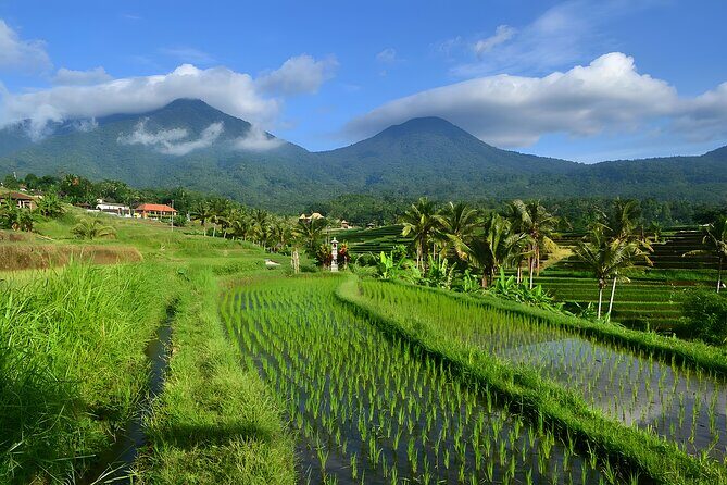 Jatiluwih VW Safari Bali Tour - Volkswagen Classic Car Trip - Final Thoughts