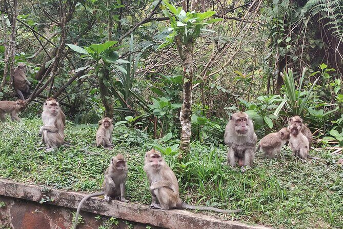 Java Classic Overland Tour - Practicalities and Value