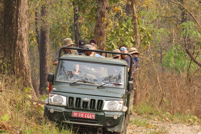 Jeep Safari (8-10 hrs., Private)inside Chitwan National Park. - Who Should Consider This Safari?