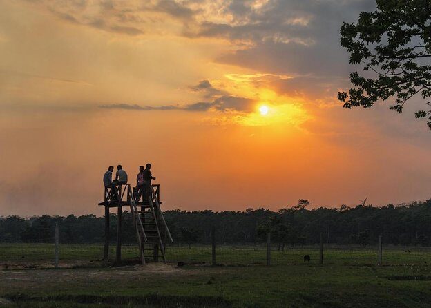 Jeep Safari in Chitwan National Park - What Makes This Tour Stand Out?