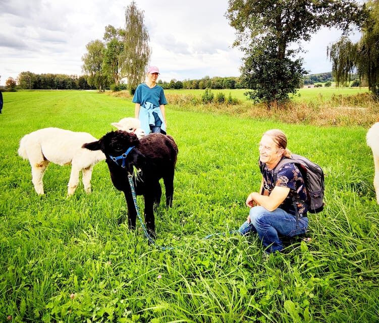 Jettingen-Scheppach: Alpaca hike through the Mindeltal - The Hike: Gentle, Scenic, and Relaxing