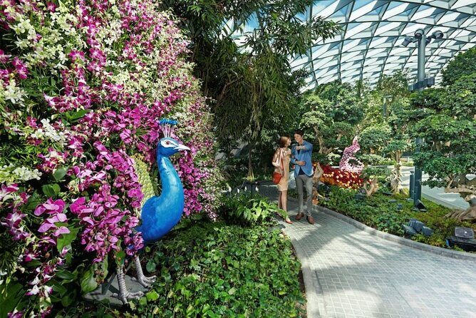 Jewel Changi Airport: Hedge Maze and Canopy Park Ticket - What You Can Expect from the Itinerary