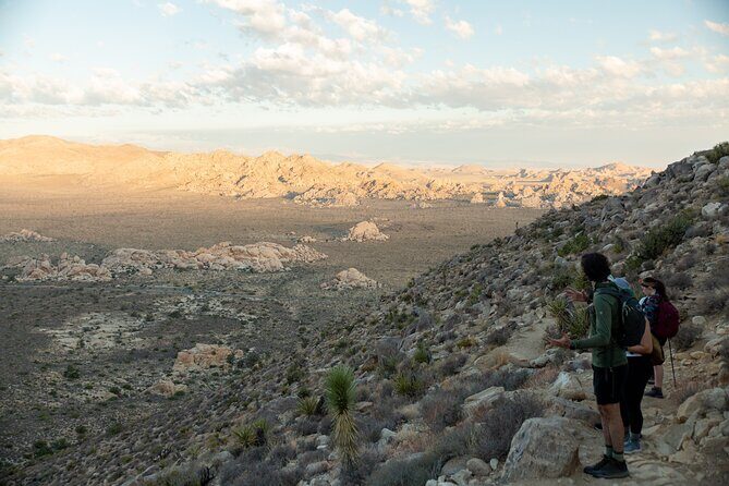 Joshua Tree Half Day Private Sunrise Hike - Authentic Experiences and Authentic Guides