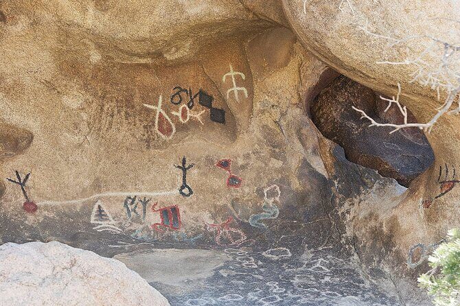 Journey into Joshua Tree Audio Tour and Locals Guide - Who Should Consider This Tour?
