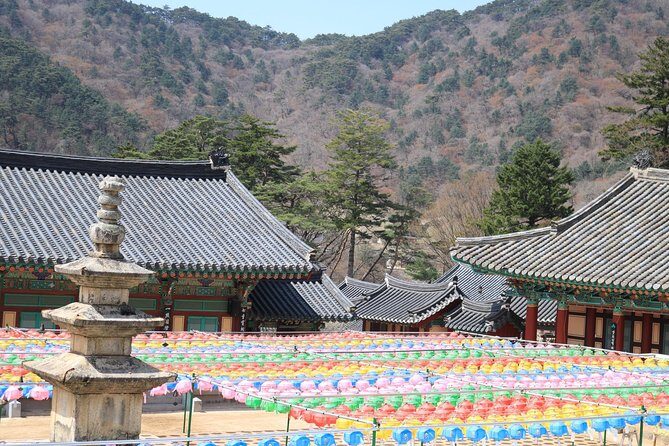 Junam Wetlands and Haeinsa Temple Tour - FAQ