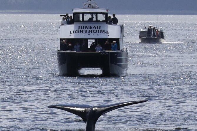 Juneau Lighthouse Tours - Whale watching & Lighthouse Combo - Who Should Take This Tour?