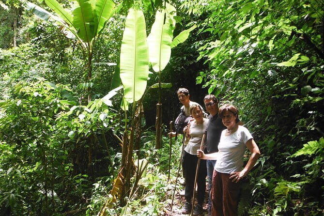 Jungle Experience: 1 Day Trek in Nam Ha NPA - Practical Tips for Making the Most of Your Day