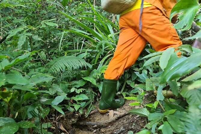 Jungle Survival Tour - Return to Nature - Depart from Hue, Da Nang - FAQ