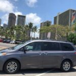 Kahului OGG Airport and Kihei Wailea Hotels Private Transfer - The Experience for Different Travelers