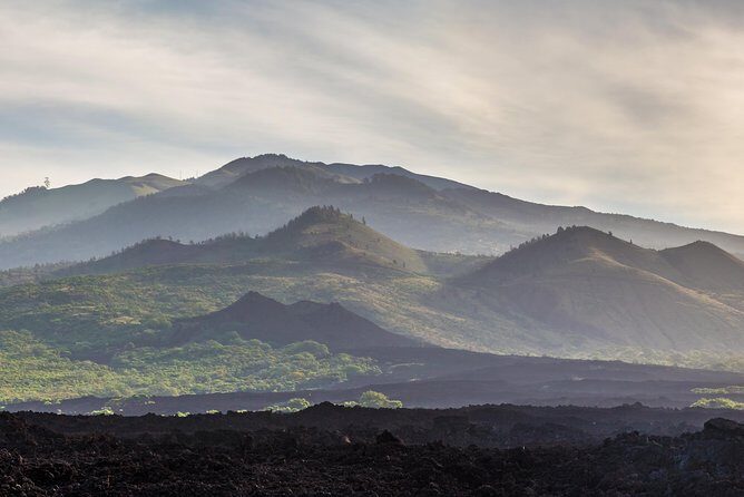 Kahului Shore Excursion: Private Tropics of Maui & Rainforest - What Does This Tour Offer for Value and Experience?