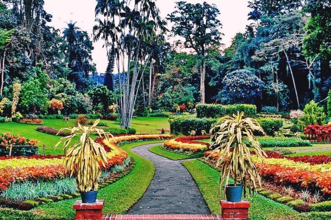 Kandy city tour for couple price - The Logistics: What to Expect