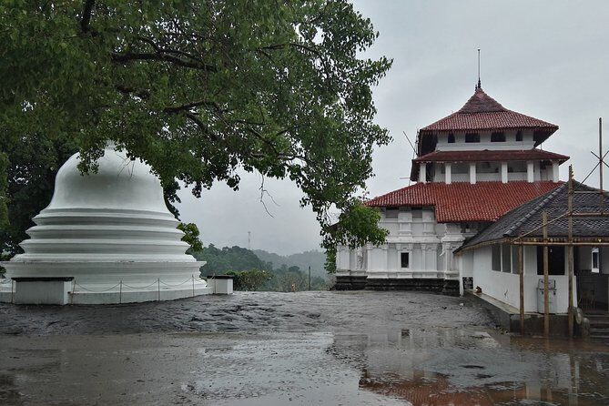 Kandy City Tour From Colombo - An In-Depth Look at the Itinerary