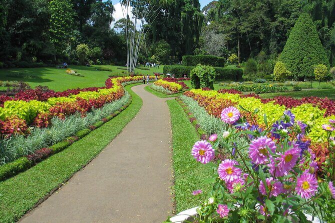 Kandy City Tour from Hikkaduwa - Transportation and Comfort