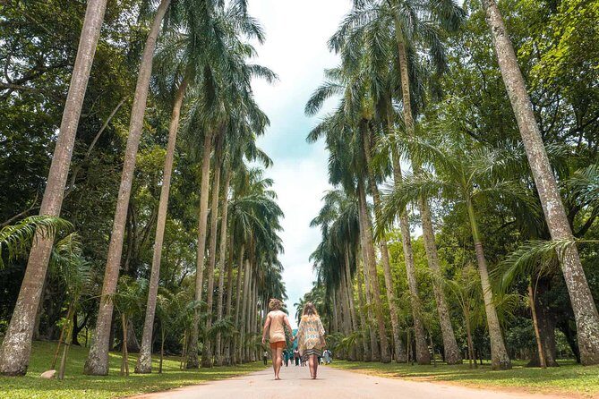 Kandy Day Tour from Colombo - Who Would Benefit Most from This Tour?