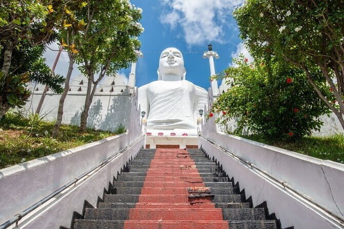 Kandy Day Tour from Kalutara - The Practicalities: What You Need to Know