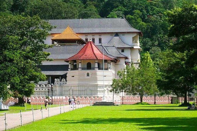 Kandy Day Trip from Colombo: Tea Factory- Peradeniya Botanical Gardens-Kandy - Your Itinerary — What to Expect
