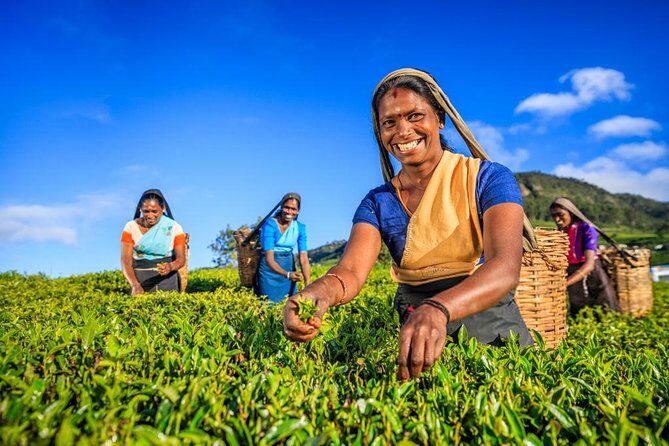 Kandy Nature & Culture Tour - Discovering Kandy’s Natural and Cultural Gems