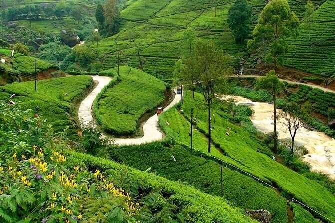 Kandy & Nuwara Eliya | 2 Days Tour - Who Will Love This Tour?