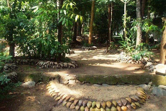 Kandy Transfer Visiting Dambulla Cave Temple and Herbal Garden - Transportation & Service Quality