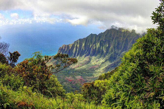 Kauai Island Private Guided Tour-Waimea Canyon from Lihue/Kapaa - The Experience from the Traveler’s Perspective