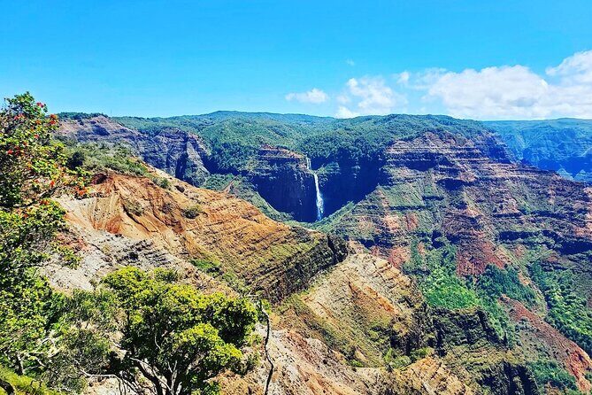 Kauai Private Guided Tour to Waimea Canyon from Nawiliwili - Who Will Love This Tour?