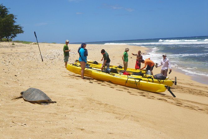 Kauai Sea Kayaking 10 mile tour - Na Pali Iki (Polihale to Milolii) - What’s Included and What’s Not