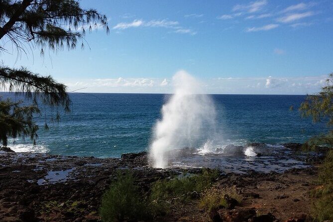 Kauai Shore Excursion - Waimea Canyon Adventure Tour - Nawiliwili - The Itinerary: Breaking Down the Sights