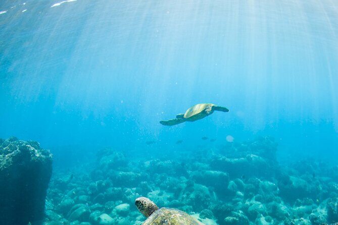 Kauai's Ultimate Guided Shore Snorkel (NO BOAT): North Anini - The Group and Logistics